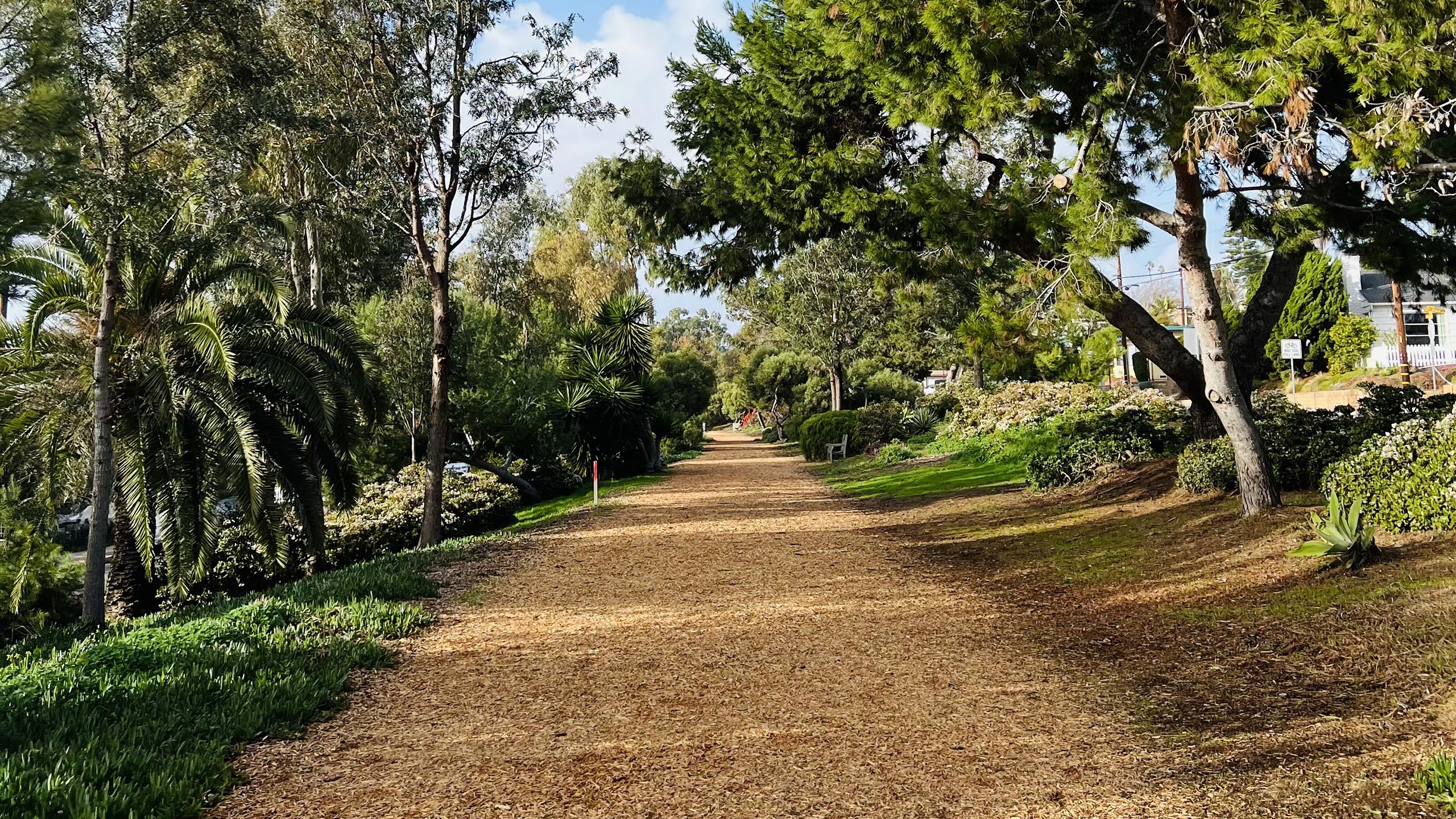 Start Your Process – Brendan O'Reilly Therapy